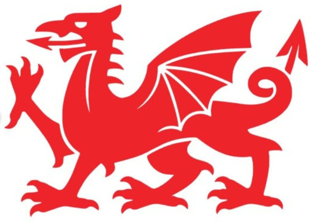 The Fascinating World of Welsh Dragons